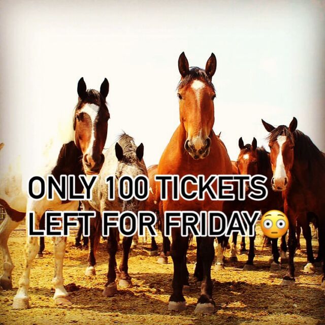 Bigfork Montana Rodeo